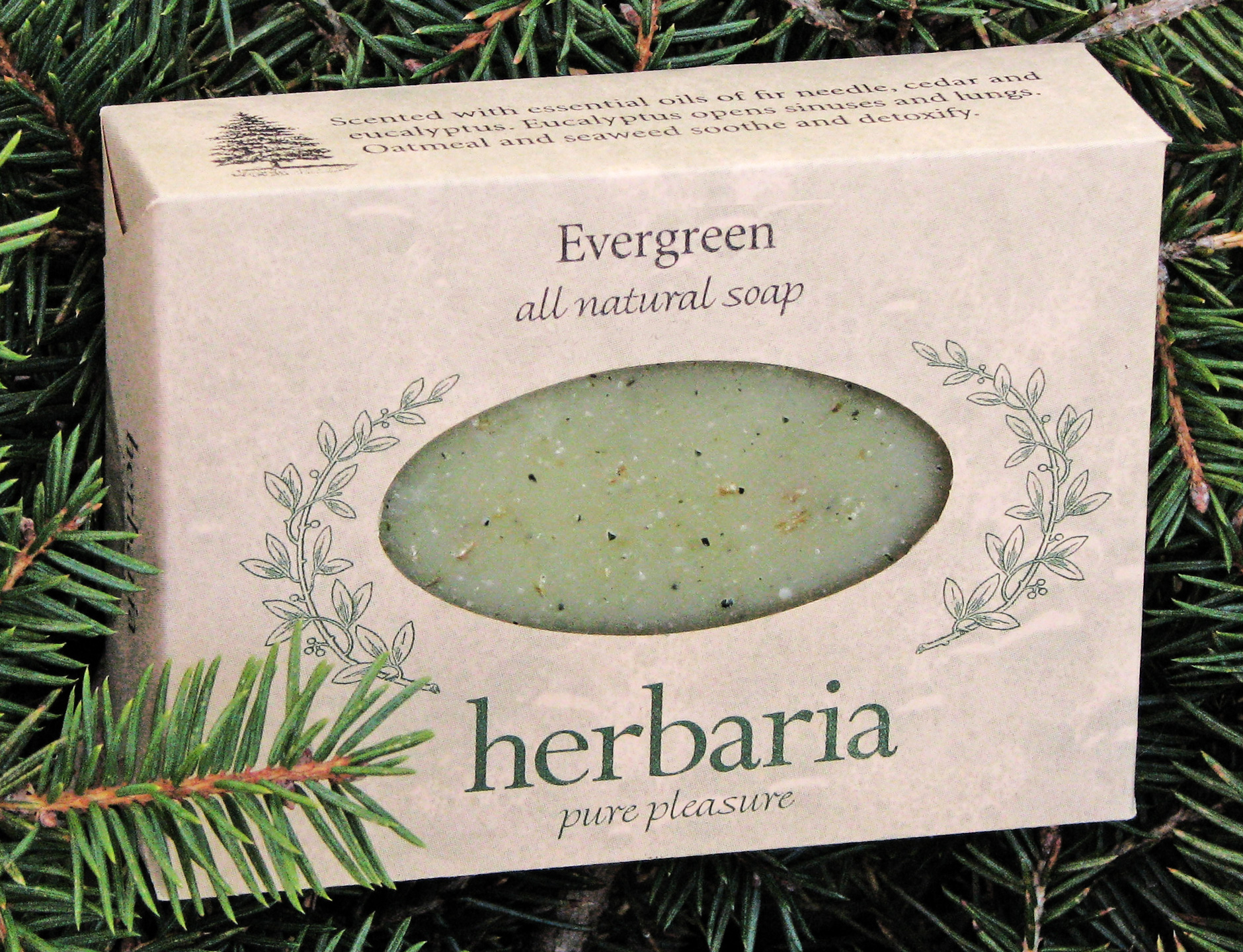 Herbaria Evergreen Soap - All Natural - Handmade - Essential Oils